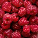 Discover the Secrets of Raspberries: Origin, Varieties, and Recipes ...