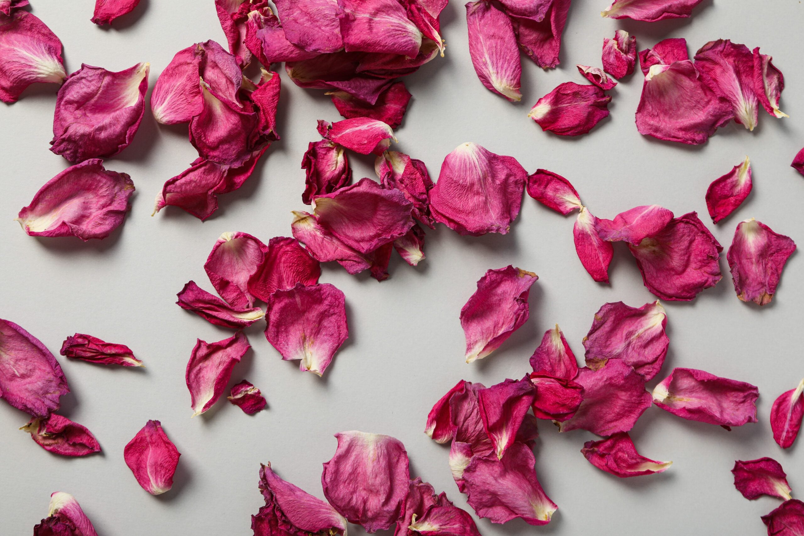 Pétales de roses séchées - Les Chats Gourmets - Recettes de cuisine